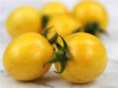 A look at this years tomatoes… | The Great Full Garden